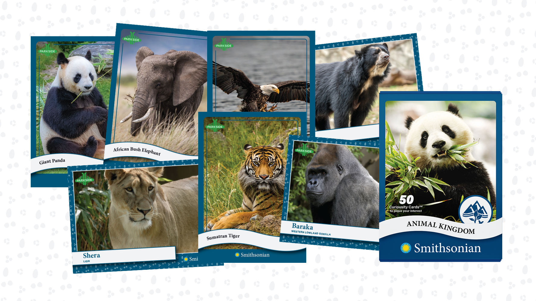 Curiosity Cards – Parkside Collectibles