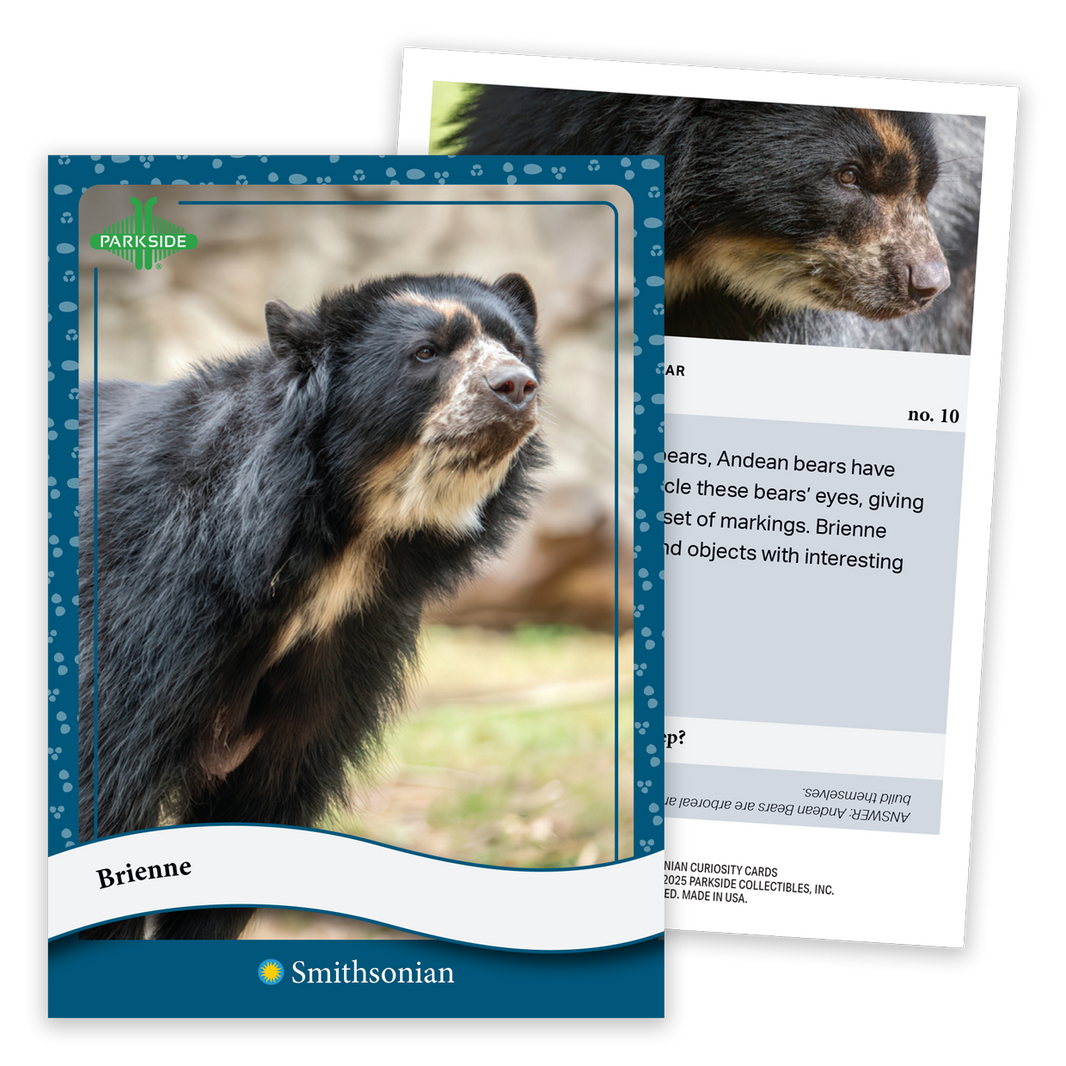 Curiosity Cards: Nature – Parkside Collectibles
