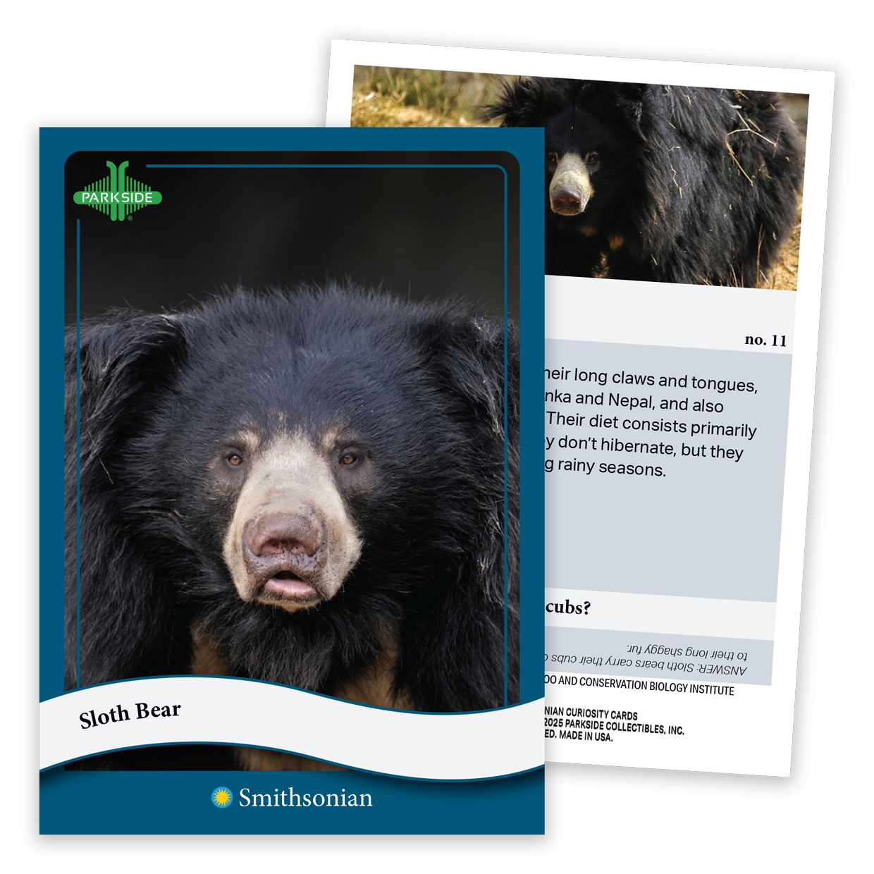 Curiosity Cards: Animal Kingdom - First Edition! – Parkside Collectibles